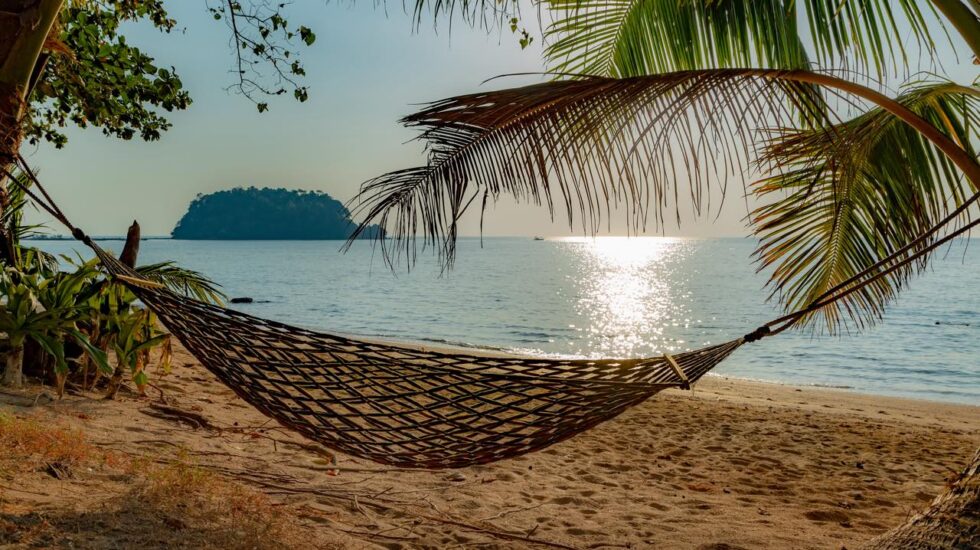 Er din hjemmeside en øde ø - usynlig på Google - WEBwoman