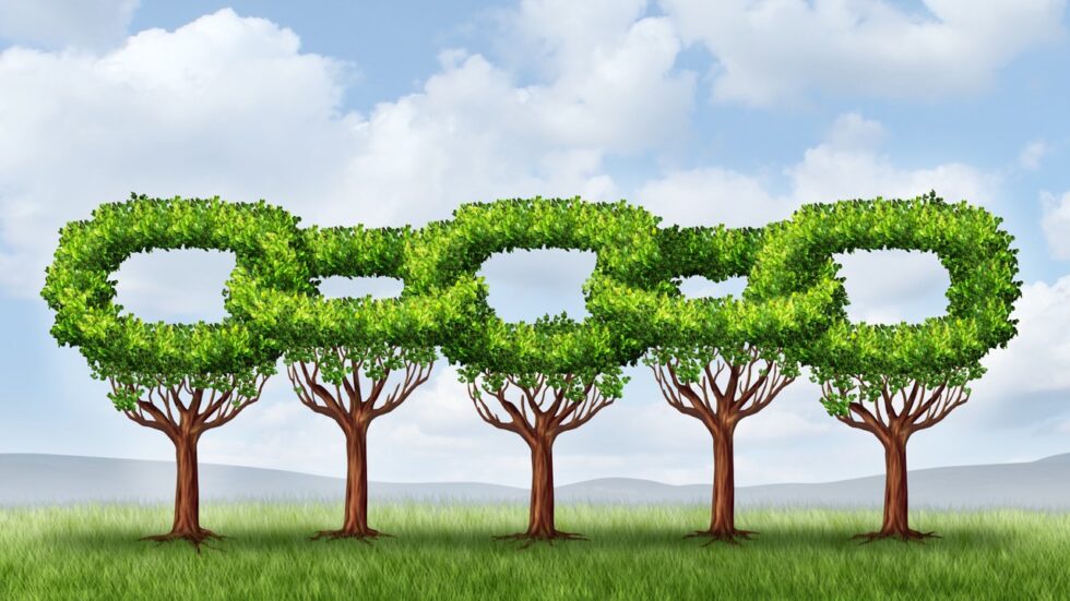 Lav en instagram linktree landingpage - på din egen hjemmeside - WEBwoman